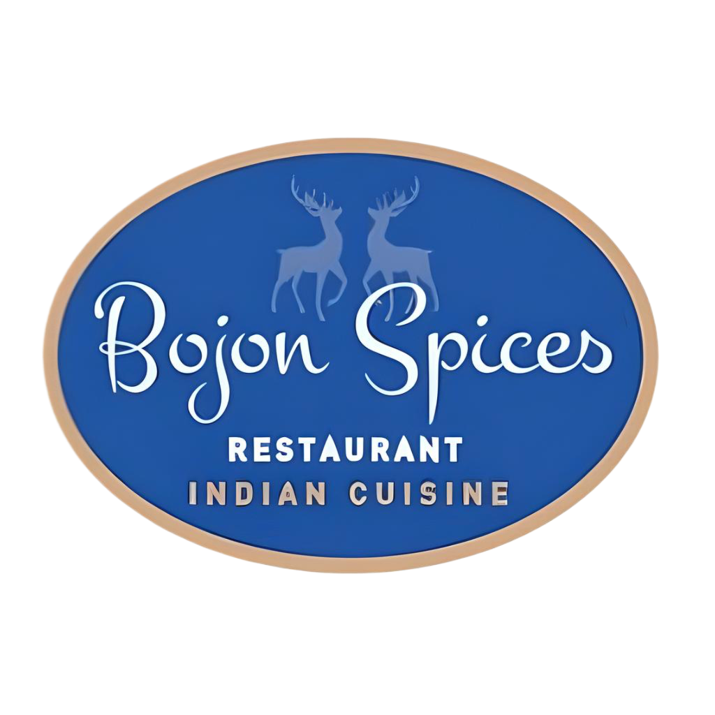 Professional Web Design & Development in Ireland – Newness Technology